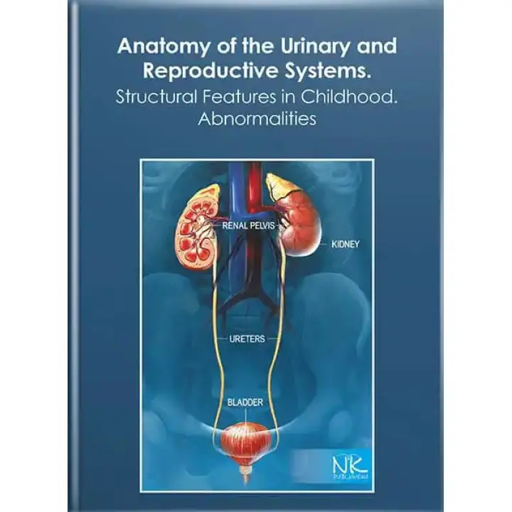 Anatomy of the Urinary and Reproductive Systems.Structural Features in ...